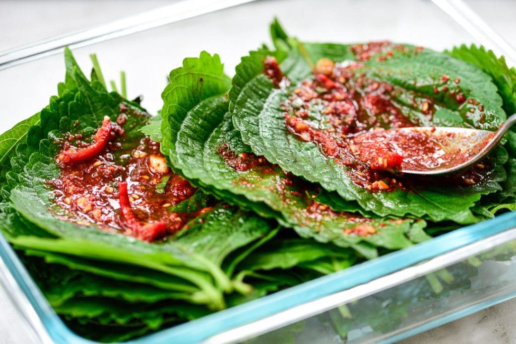 Kkaennip Kimchi (Perilla Kimchi) - Korean Bapsang