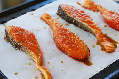 Salmon Bulgogi – Mobivycom