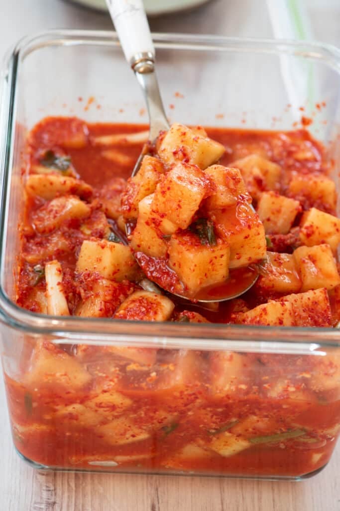 Kkakdugi (Cubed Radish Kimchi) - Korean Bapsang