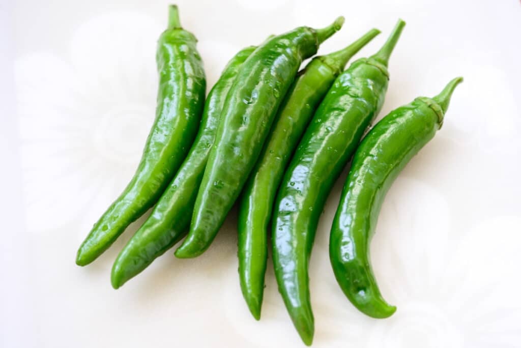 Korean green chili peppers seasoned with doenjang- Korean Bapsang
